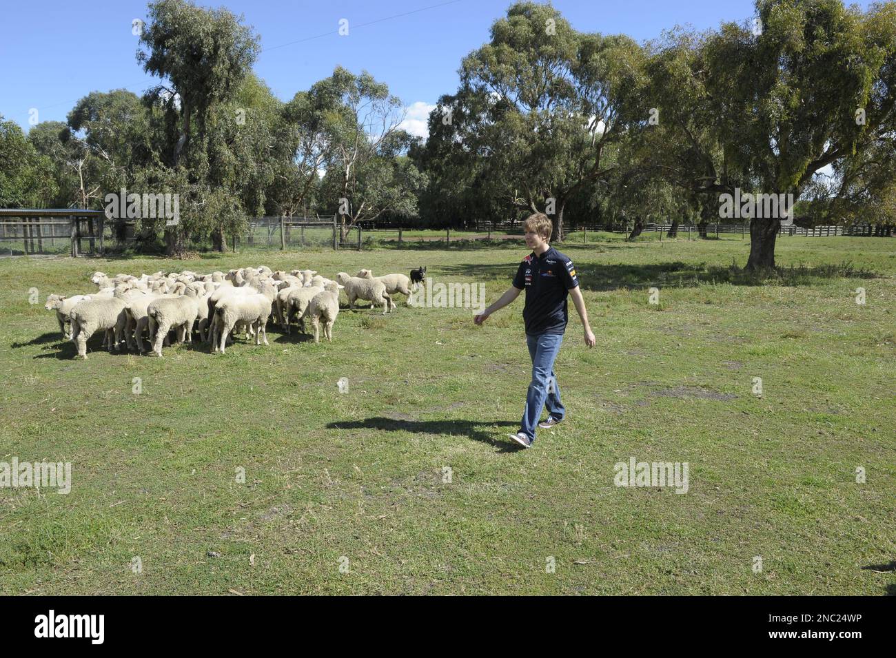 World Champion F1 driver Sebastian Vettel of Germany, Reb Bull Racing ...