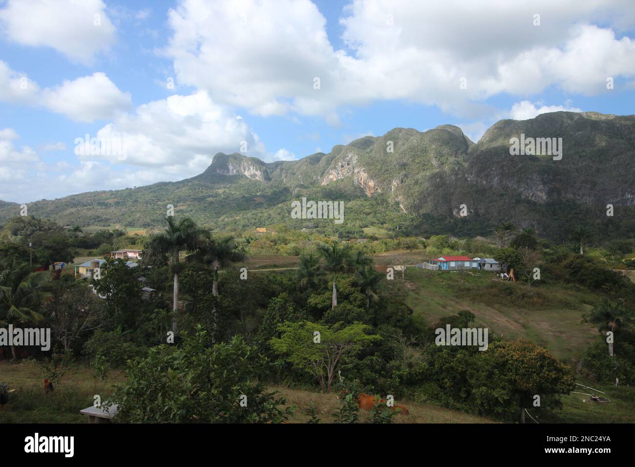 Breathtaking views in Vale de Viñales (Vinales Valley) in Pinar del Rio ...