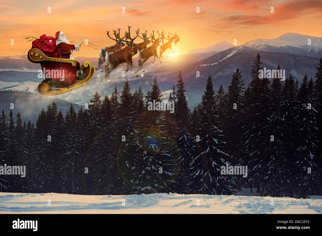 Magic christmas eve reindeers hi-res stock photography and images - Alamy