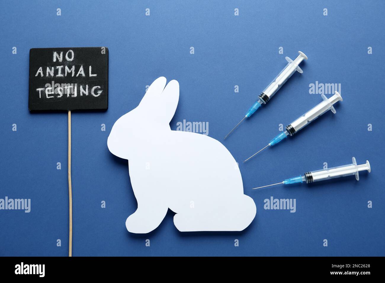 Signboard with text No Animal Testing, figure of rabbit and syringes on ...
