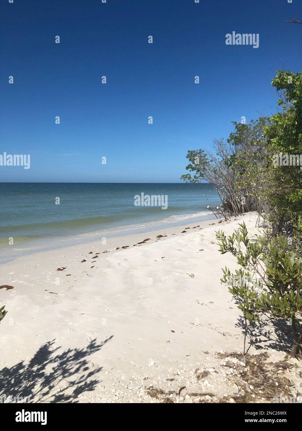 Beachcombing finds hi-res stock photography and images - Alamy