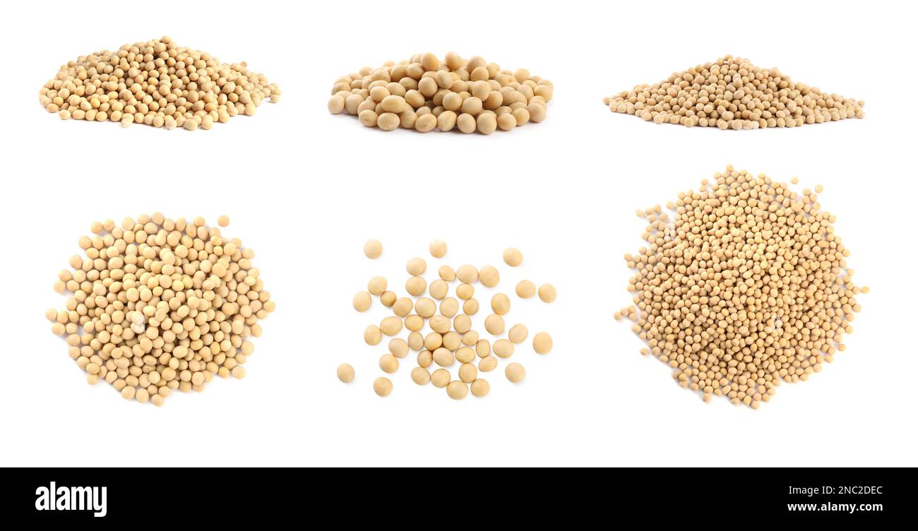 Set with soya beans on white background. Banner design Stock Photo - Alamy