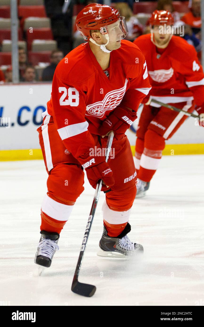 Detroit Red Wings defenseman Brian Rafalski (28) during an NHL hockey ...