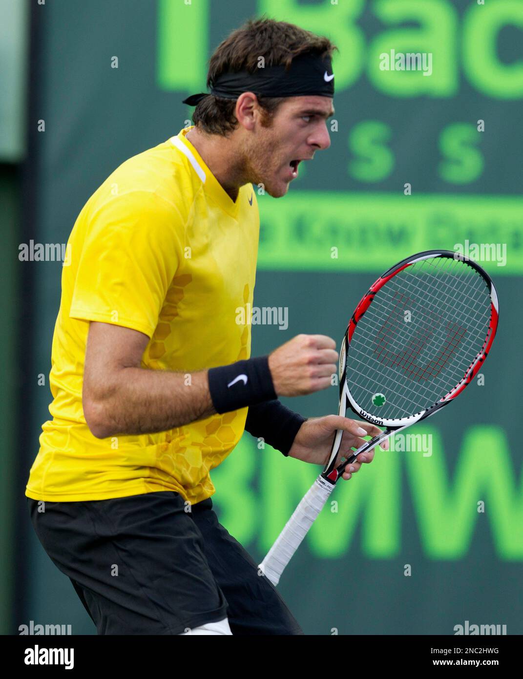 Juan Martin del Potro, from Argentina, reacts during his match against ...