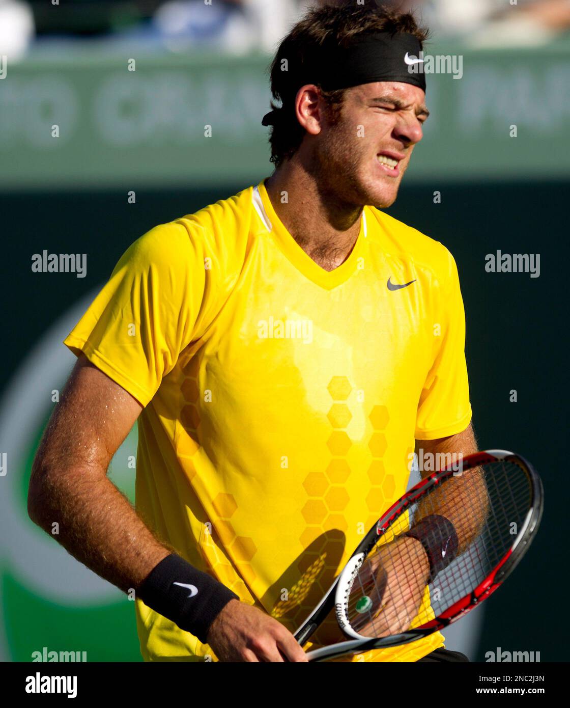 Juan Martin del Potro, from Argentina, reacts during his match against ...