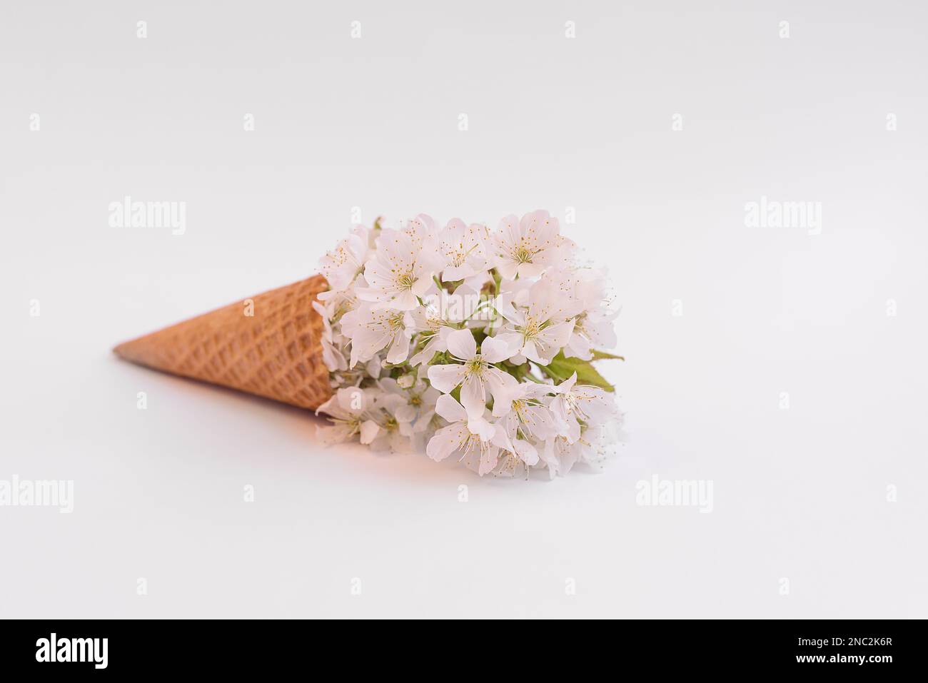 Flower ice cream. Branches of pear trees with beautiful flowers in ...