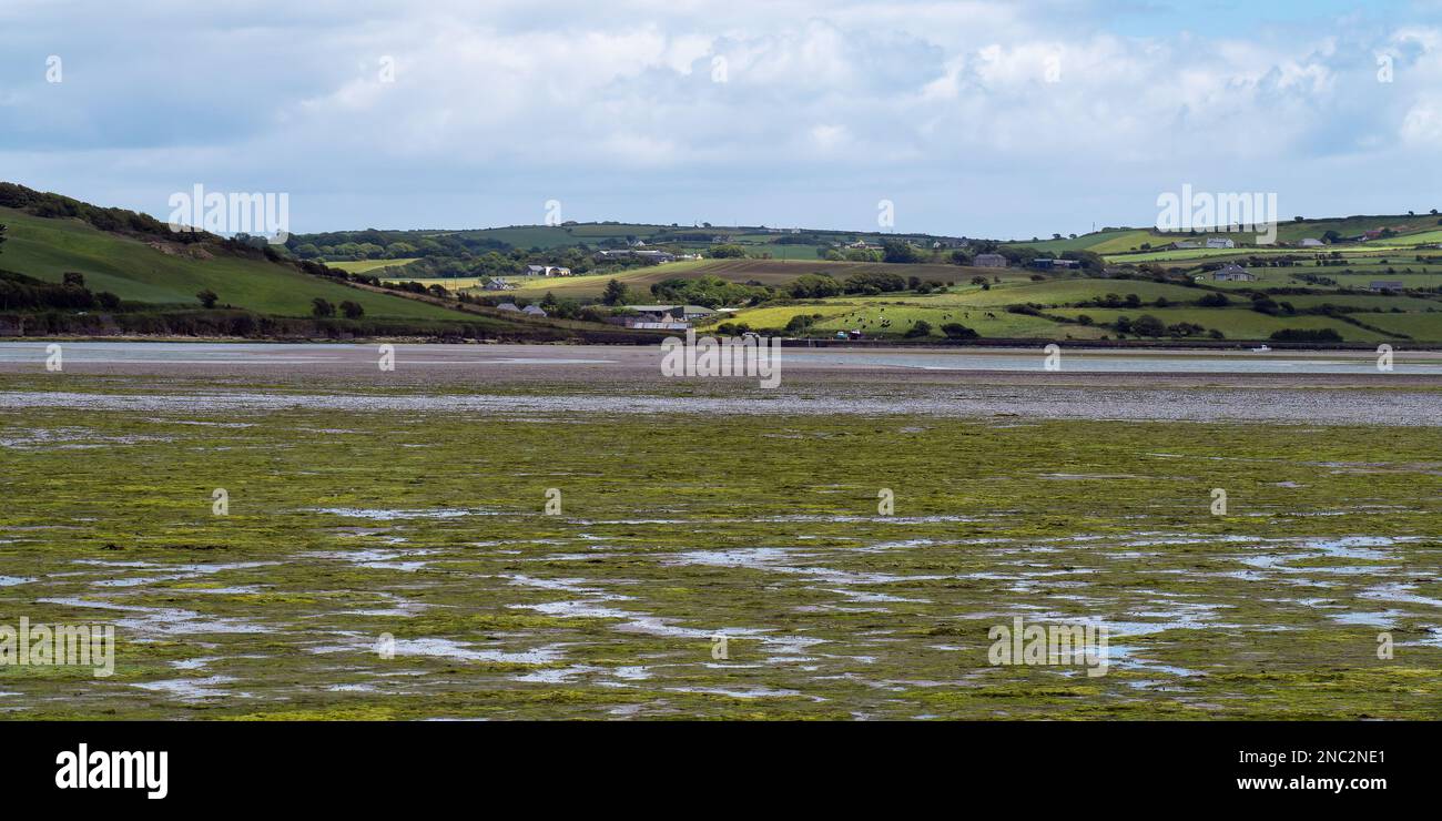 Open seabed after low tide, swamp. Green hill. White clouds in a sky ...