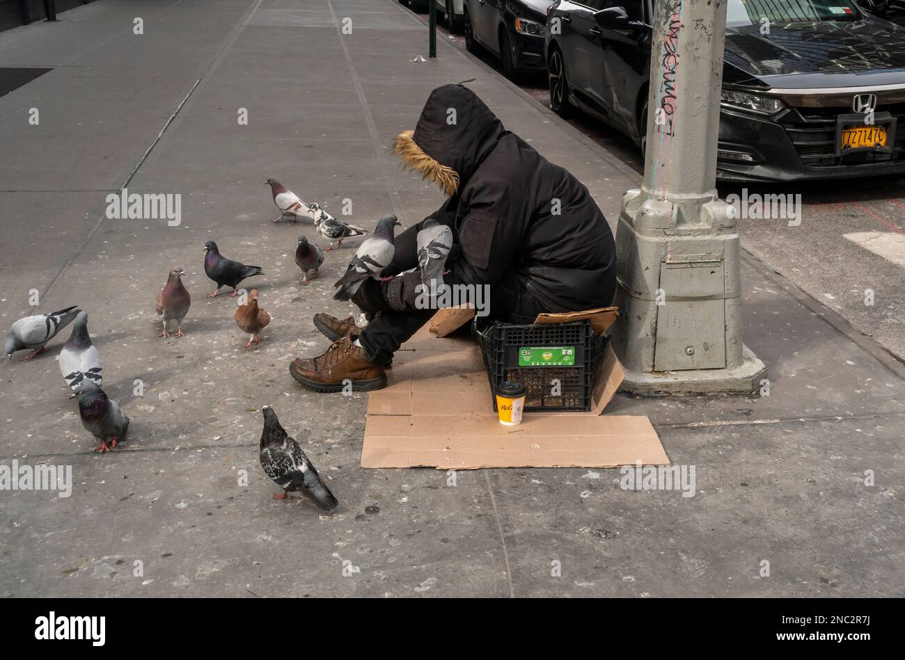 Homeless individual feeds pigeons in Midtown Manhattan in New York on ...