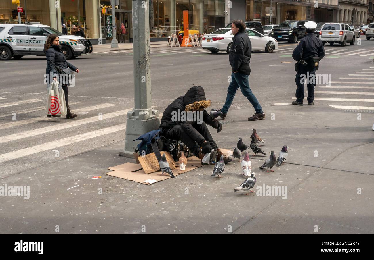 Homeless pigeons hi-res stock photography and images - Alamy