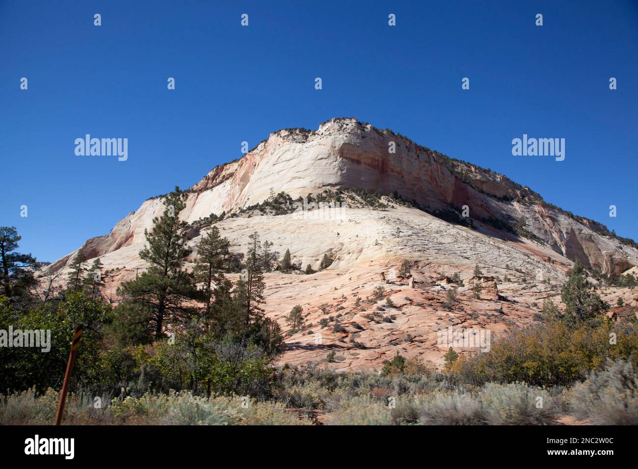 Majestic views from Zion National Park Stock Photo - Alamy