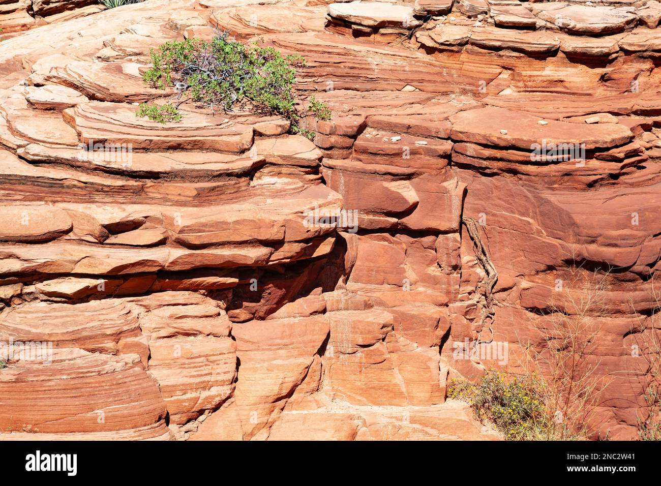 Majestic views from Zion National Park Stock Photo - Alamy