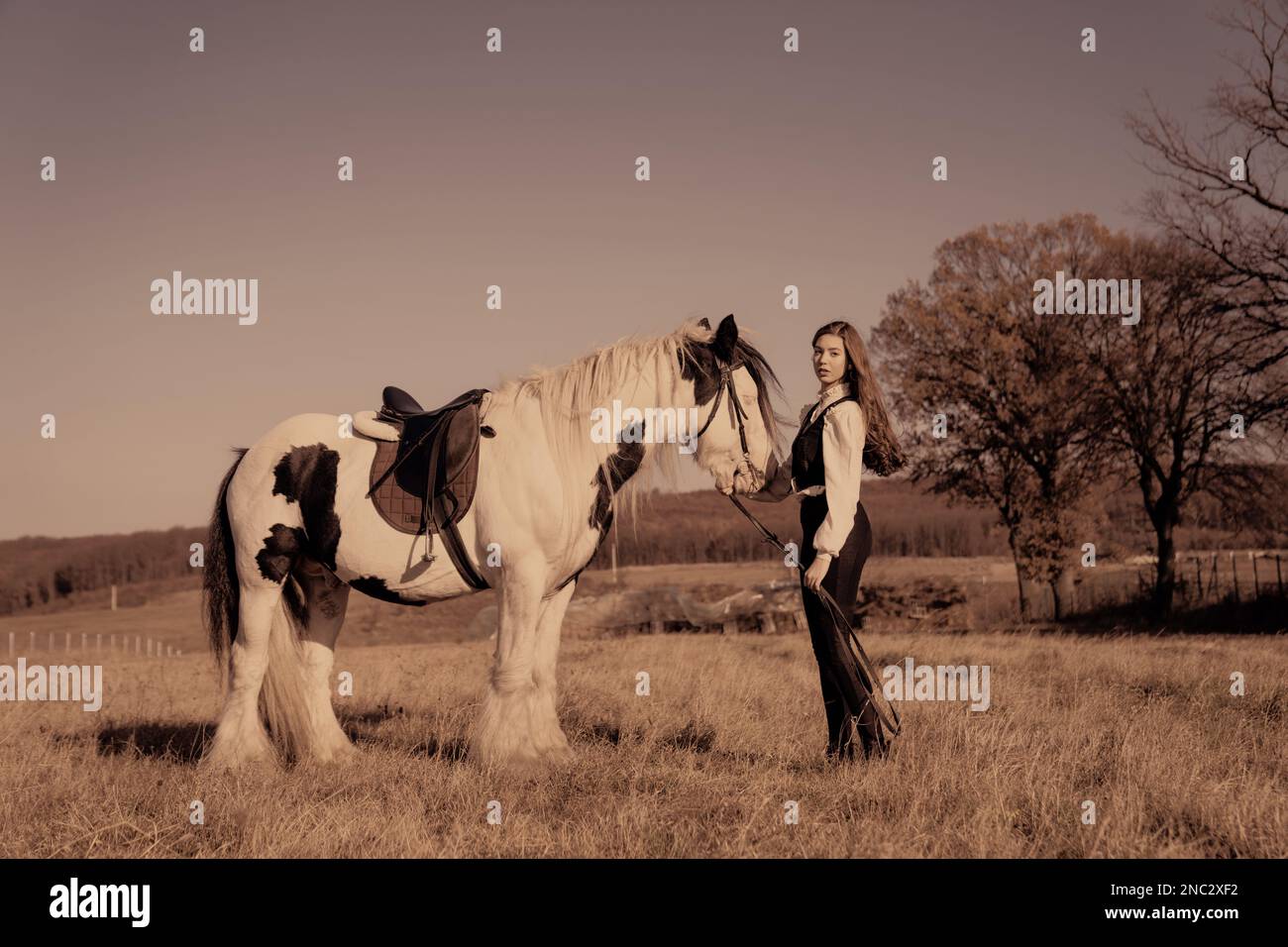 A beautiful elegant Caucasian girl posing in the field with Galineers ...