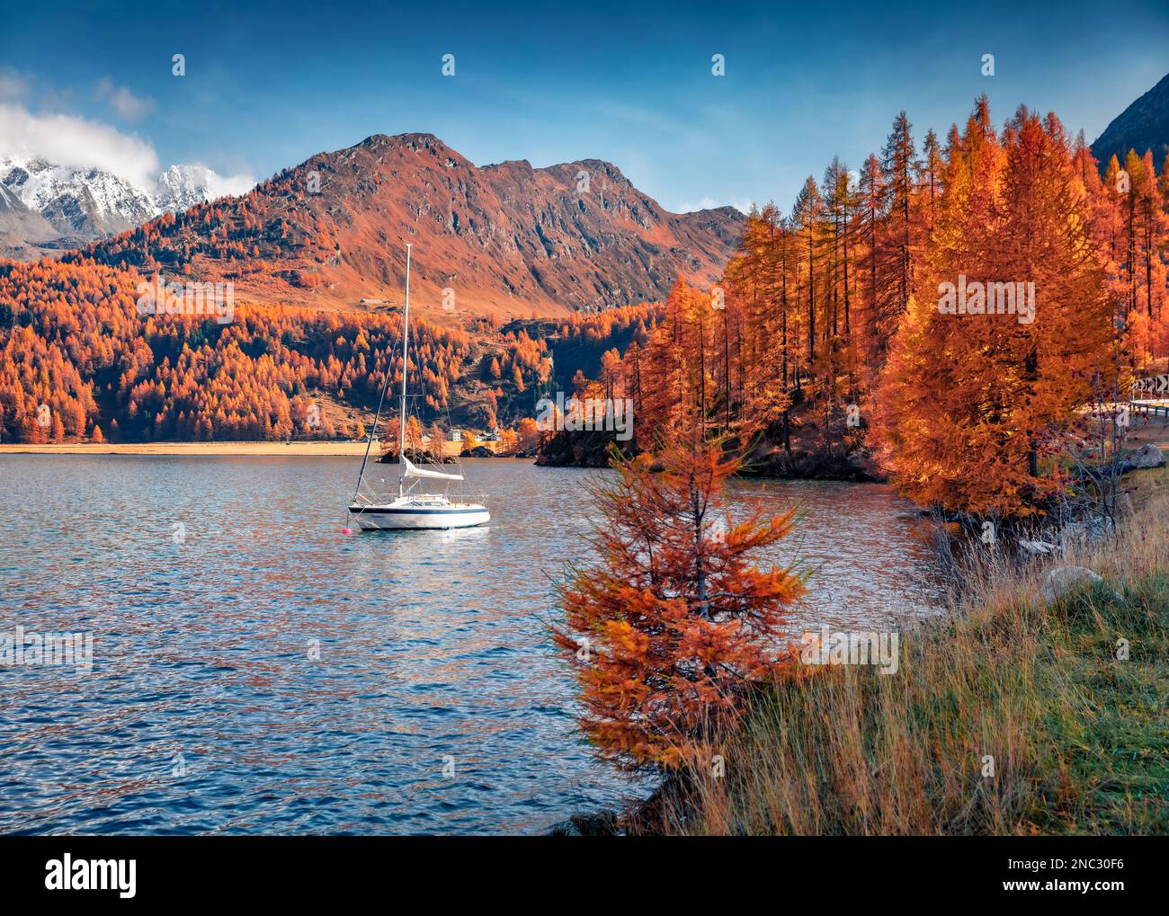 White yacht on the Sils lake. Orange hills with larch trees in Swiss ...