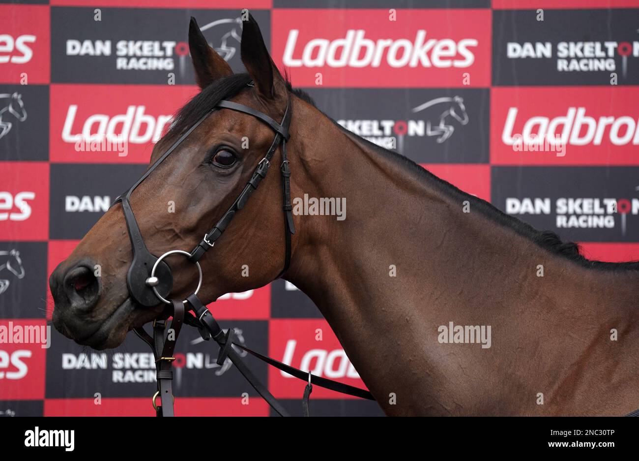 File photo dated 14-02-2023 of Galia Des Liteaux, who Dan Skelton has ...