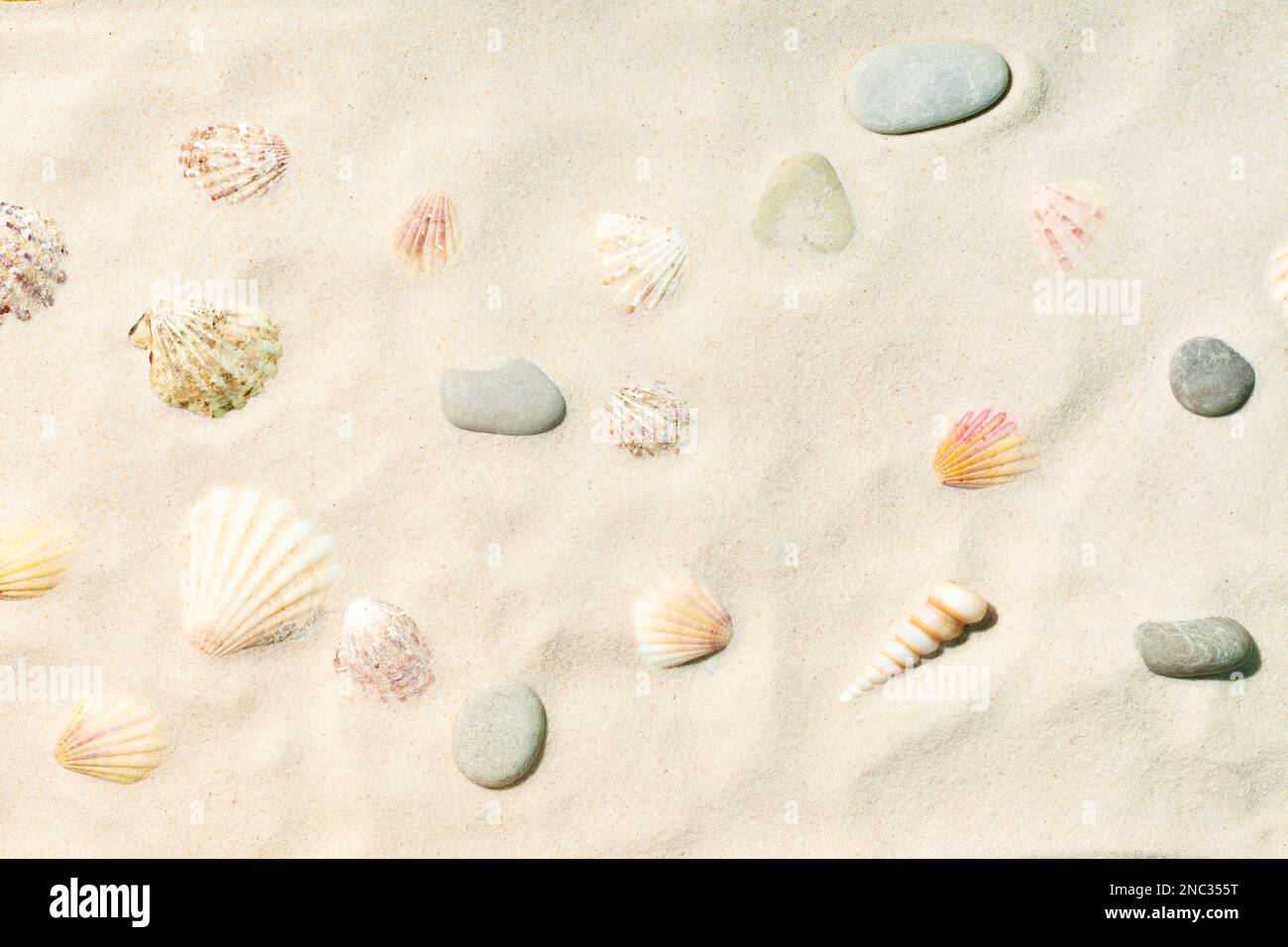 Sandy beach with sea shells and pebbles. Background Stock Photo - Alamy