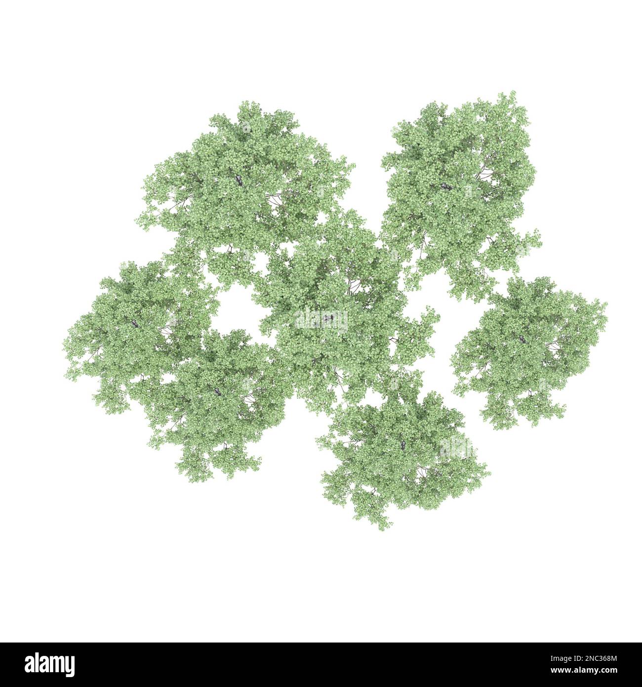group of trees, top view, isolated on white background, 3D illustration ...