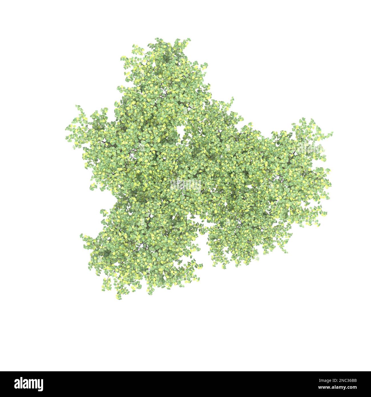 group of trees, top view, isolated on white background, 3D illustration ...