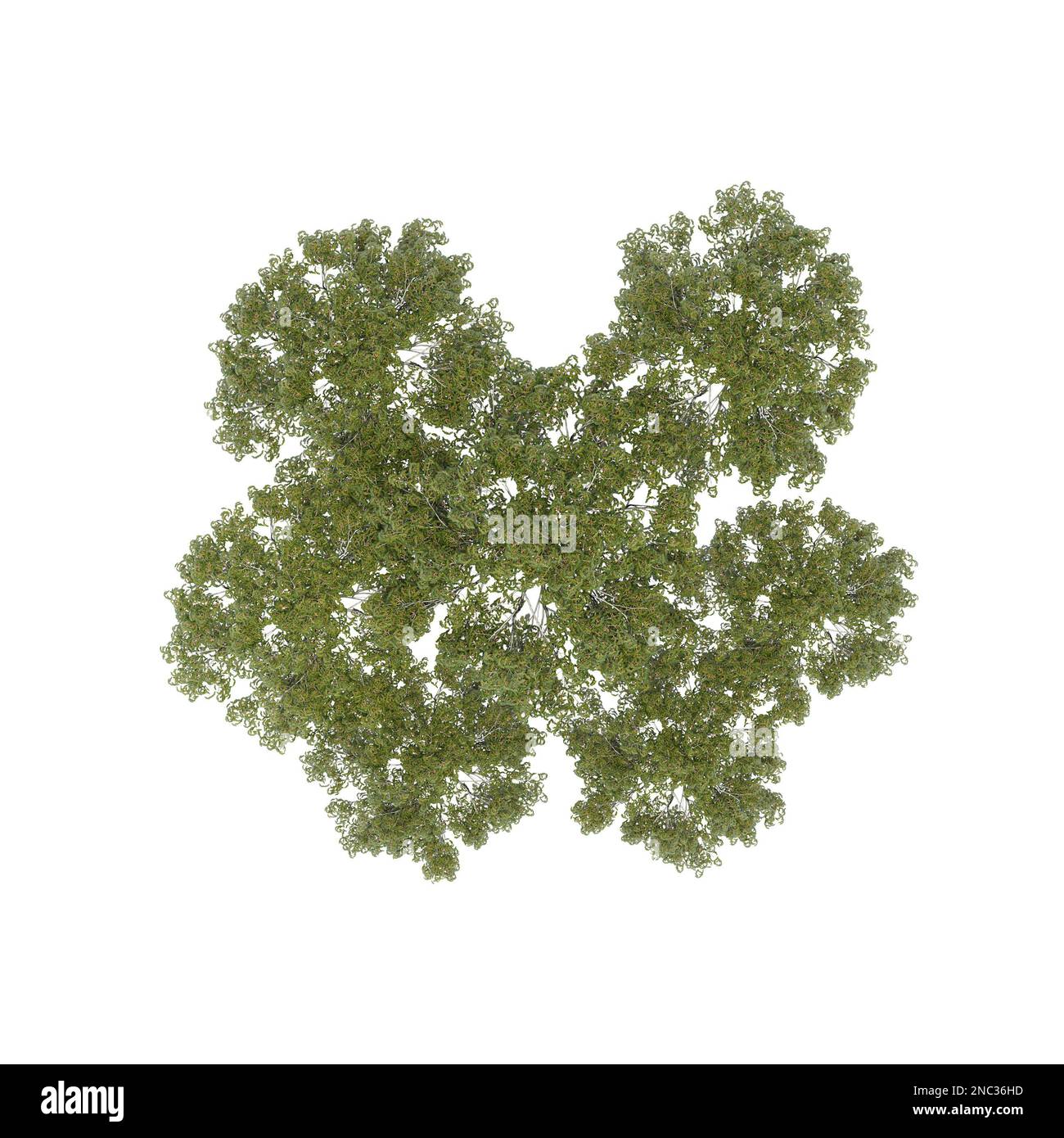 group of trees, top view, isolated on white background, 3D illustration ...