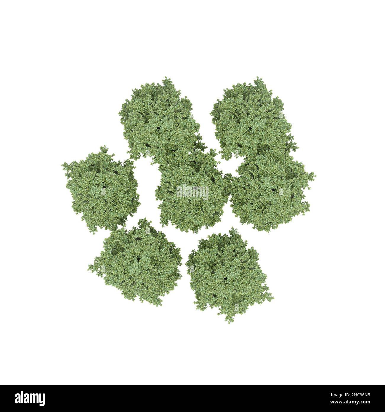 group of trees, top view, isolated on white background, 3D illustration ...