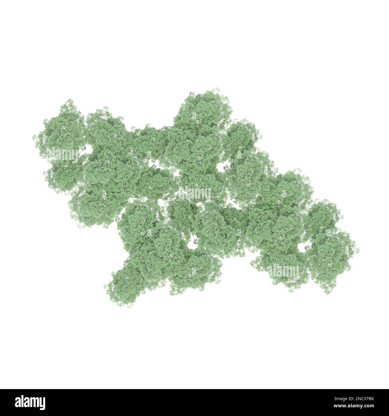 group of trees, top view, isolated on white background, 3D illustration ...