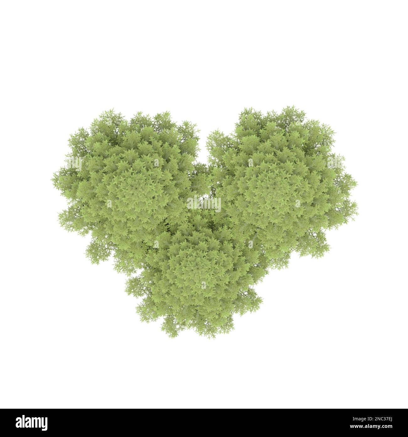 group of trees, top view, isolated on white background, 3D illustration ...