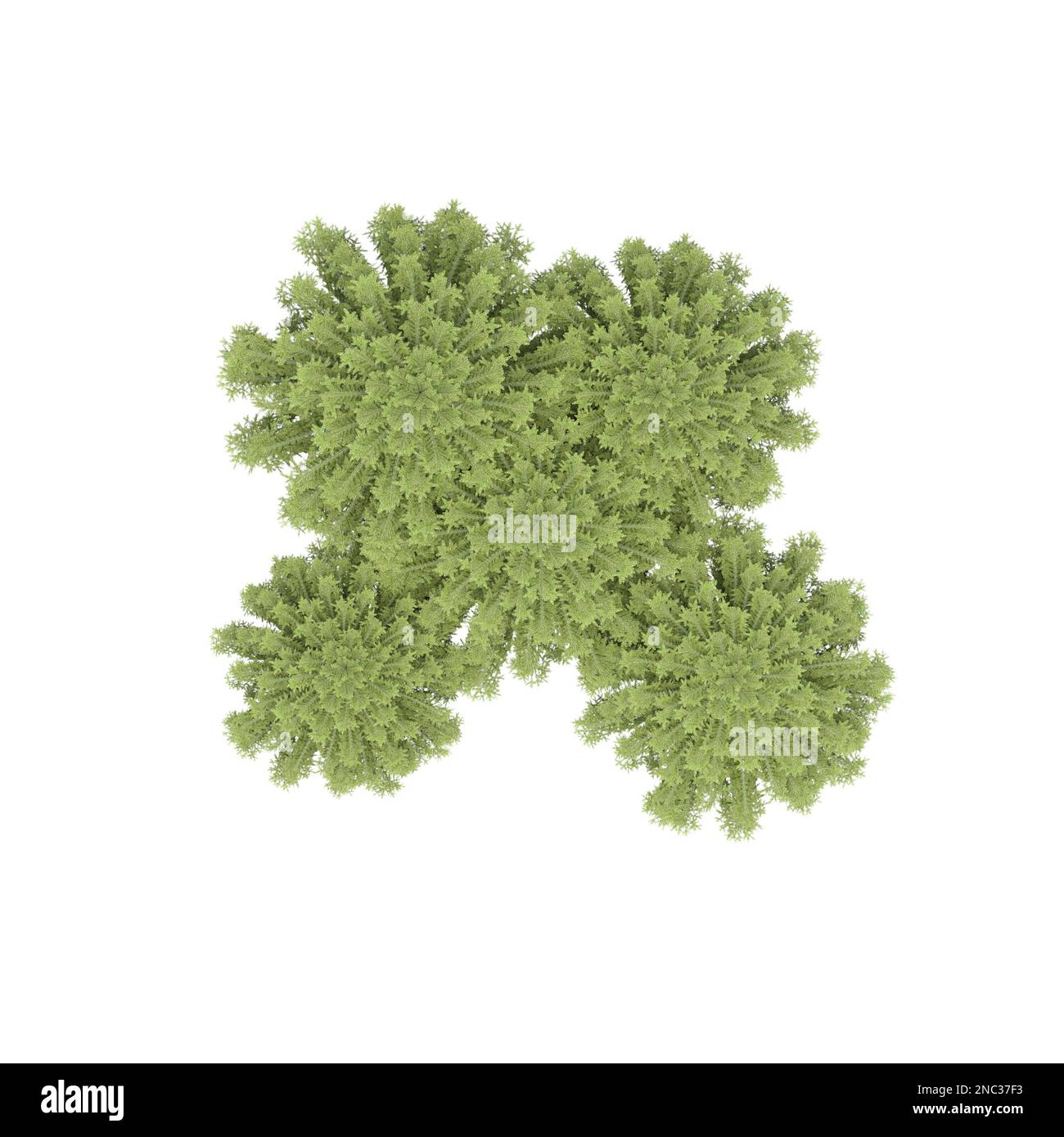 group of trees, top view, isolated on white background, 3D illustration ...