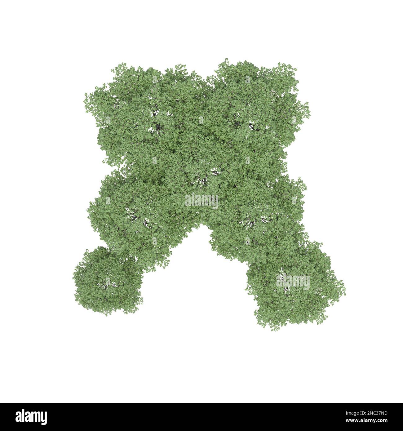group of trees, top view, isolated on white background, 3D illustration ...