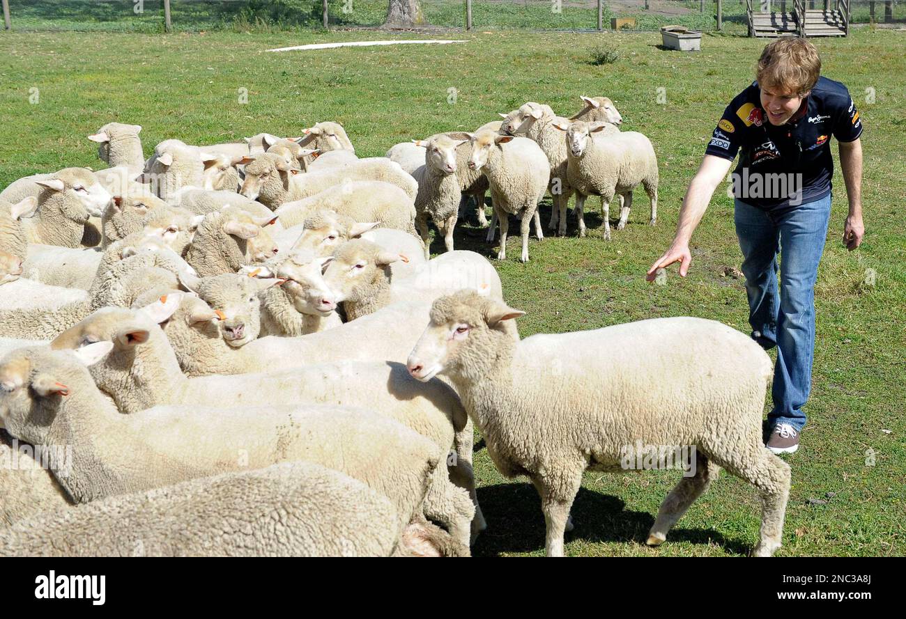 World Champion F1 driver Sebastian Vettel of Germany, Reb Bull Racing ...