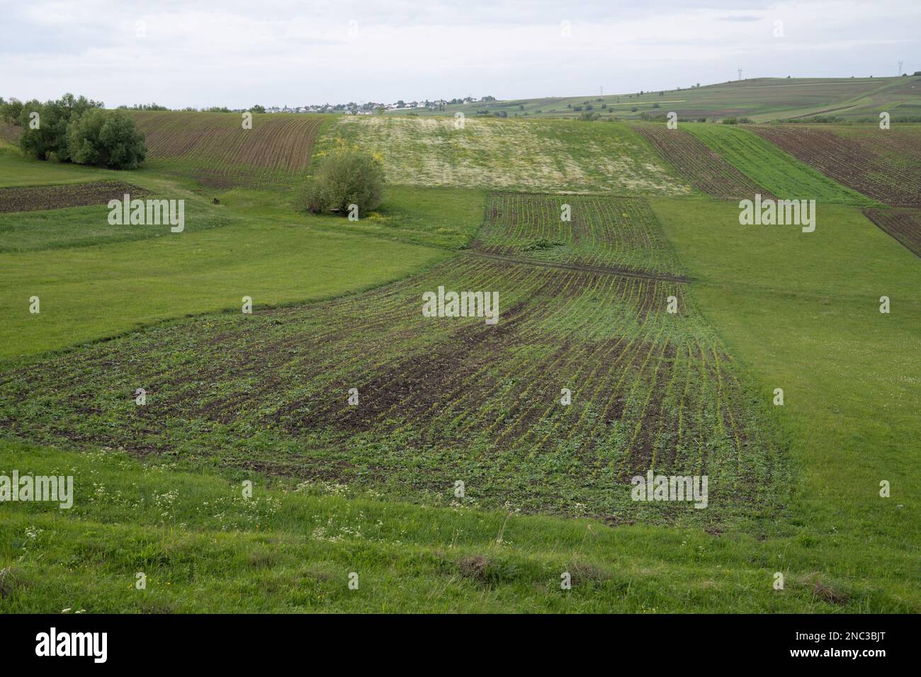 A landscape in green fields Stock Photo - Alamy
