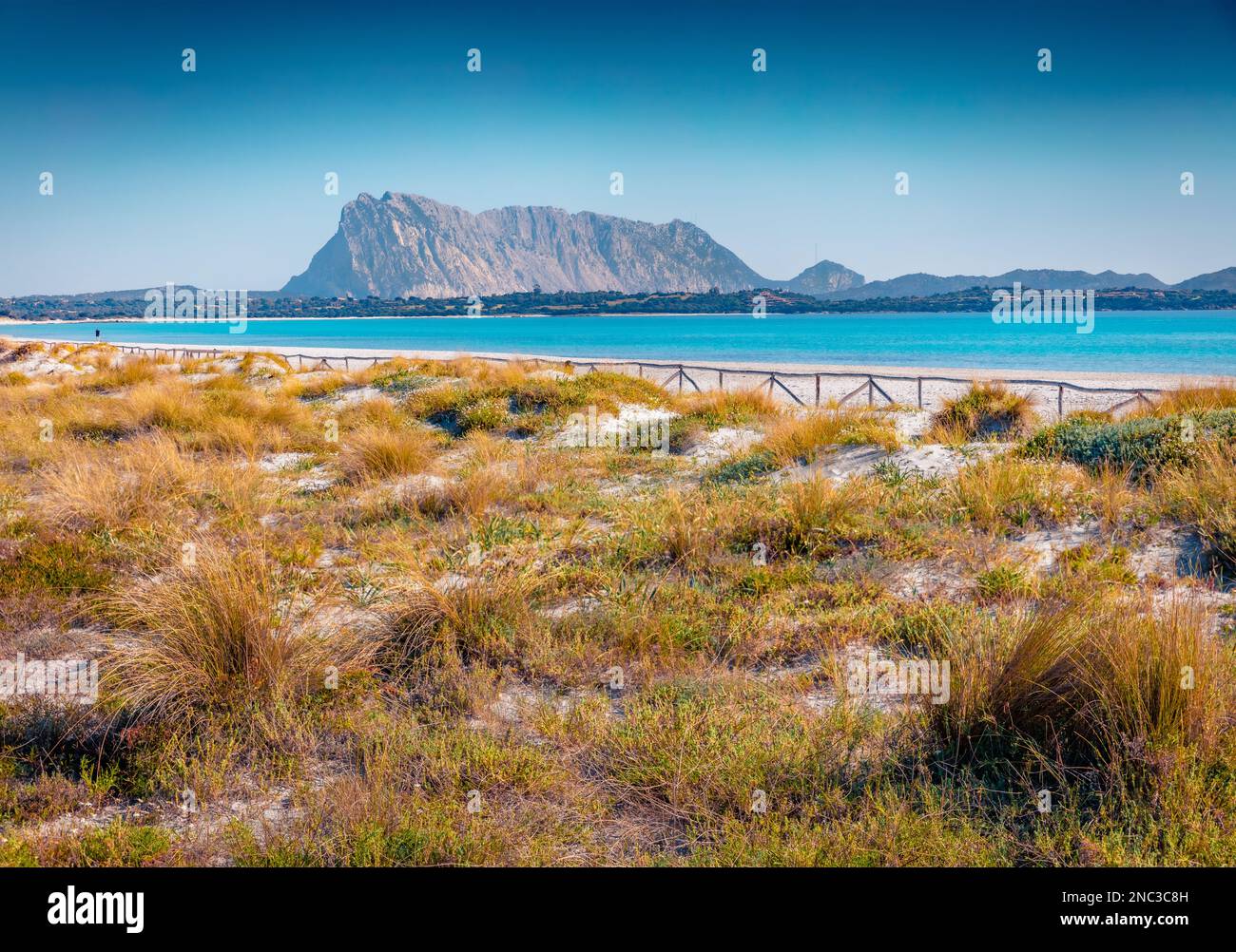 Attractive spring view La Cinta beach with Tavolara island on ...