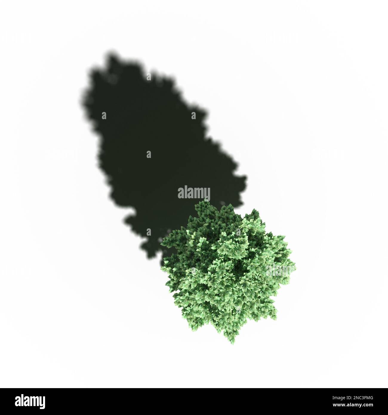 tree with a shadow under it, top view, isolated on white background, 3D ...