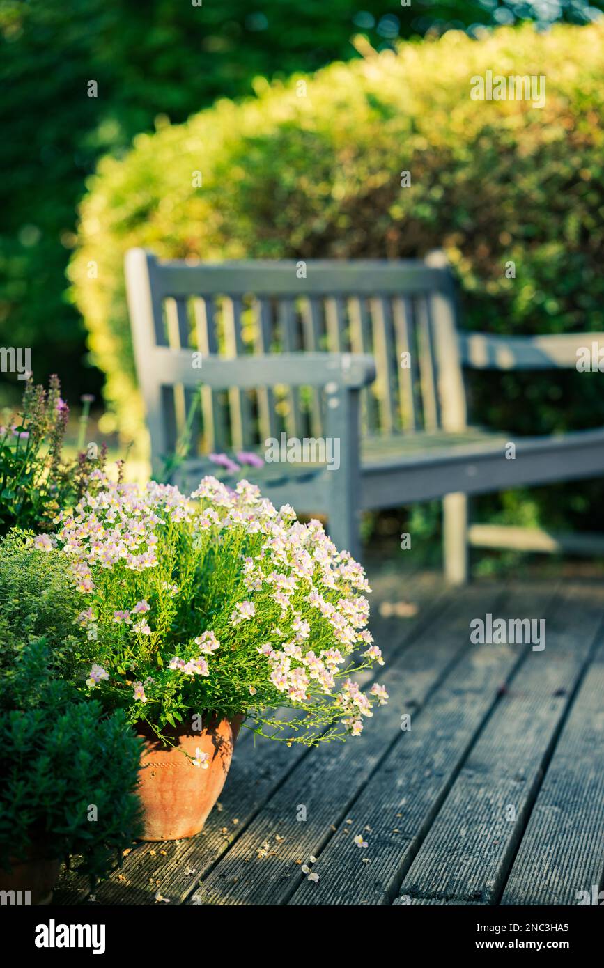Cottage Garden with patio and bench Stock Photo - Alamy