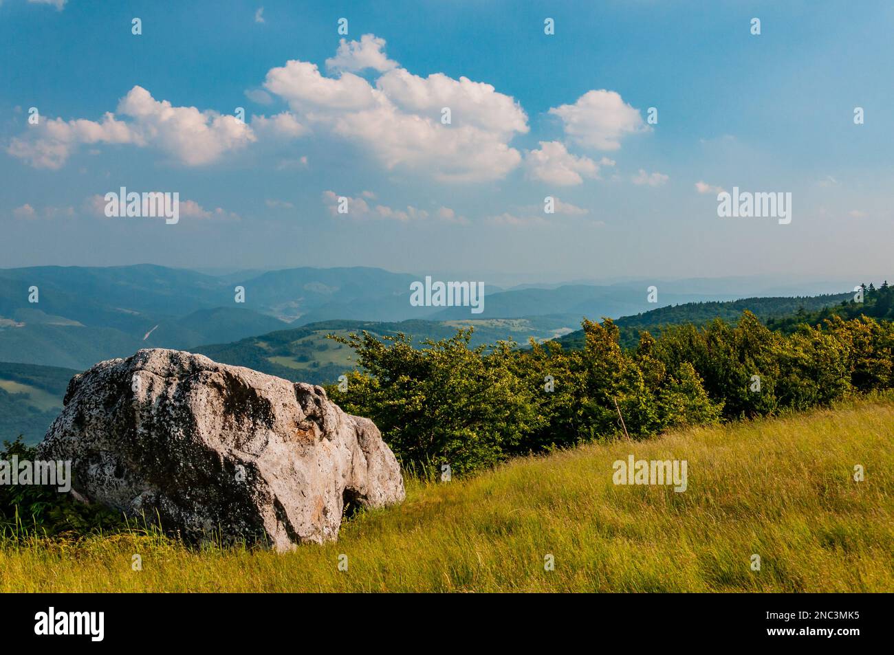 Hiking in the Upland Meadow, Spruce Knob Mountain West Virginia USA ...