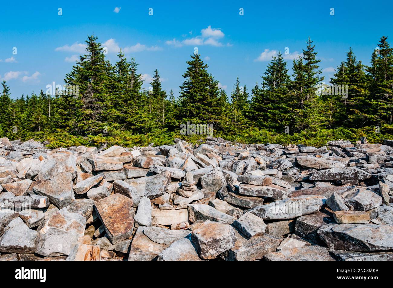 Spruce knob west virginia hi-res stock photography and images - Alamy