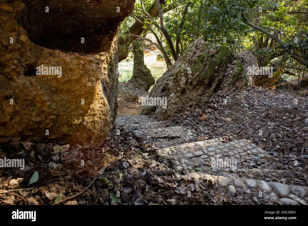 High, winding, stone steps in the forest in the breaking rays of the ...