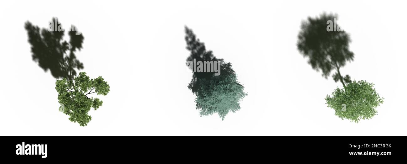 tree with a shadow under it, top view, isolated on white background, 3D ...