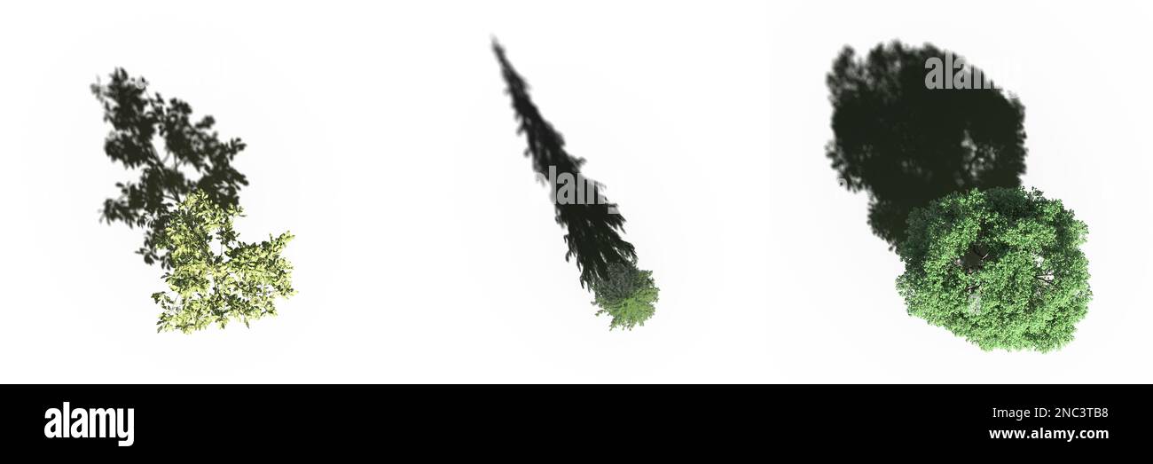 tree with a shadow under it, top view, isolated on white background, 3D ...