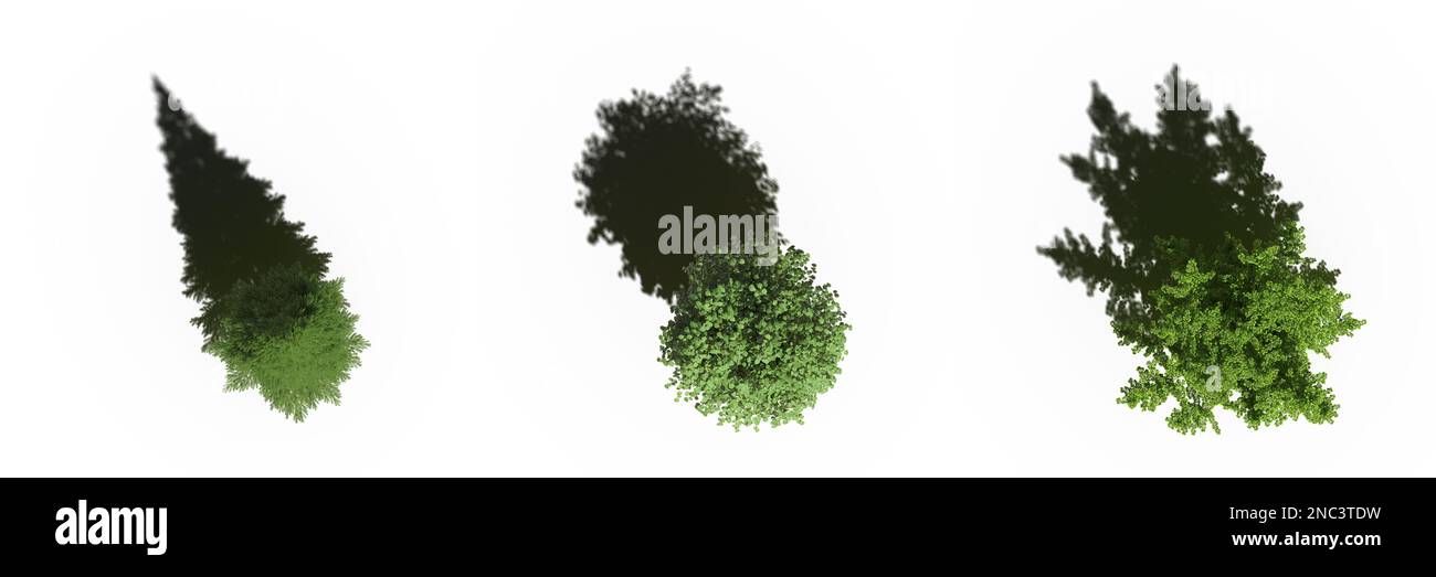 tree with a shadow under it, top view, isolated on white background, 3D ...
