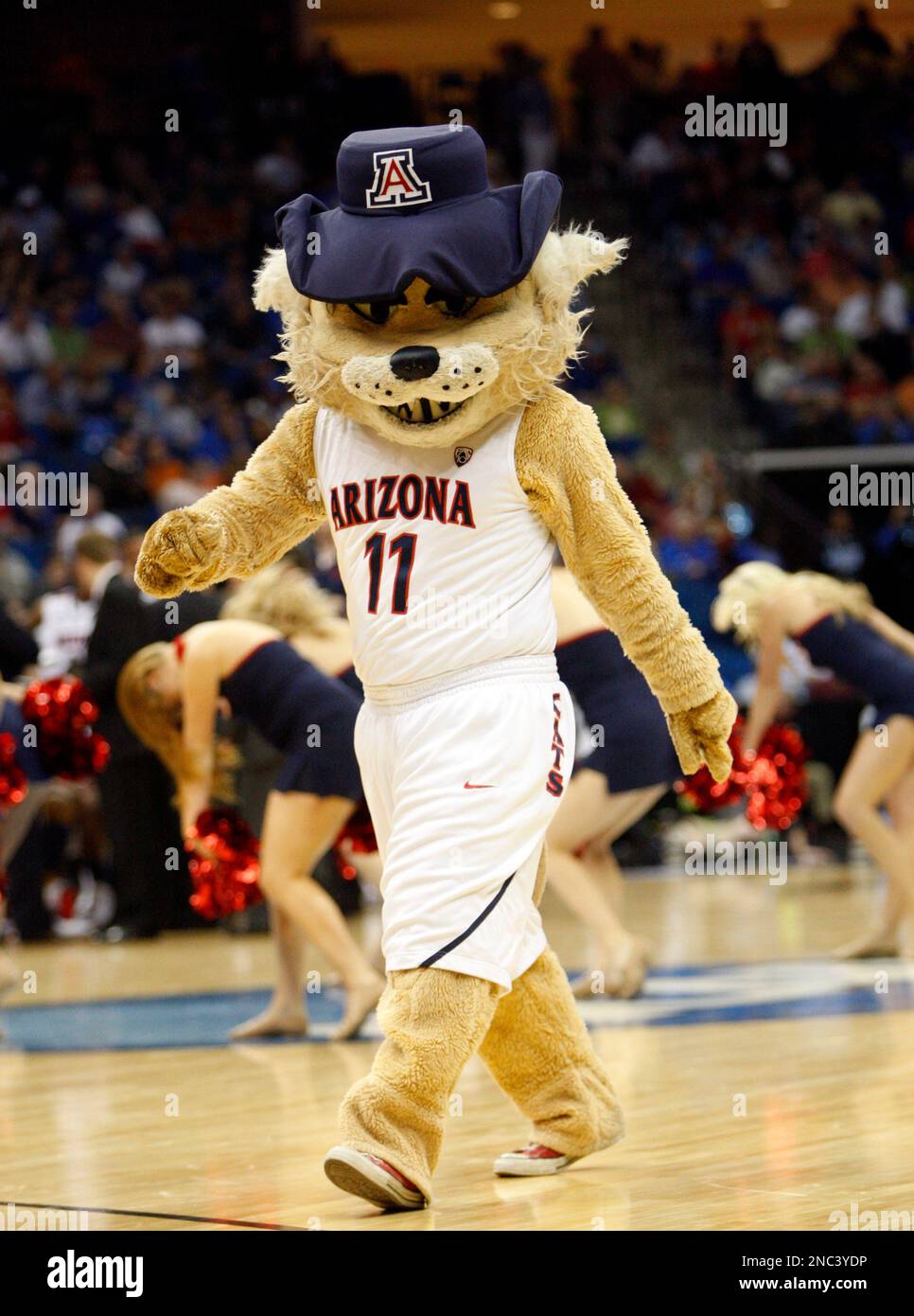 The Arizona mascot in the first half of a West Regional NCAA tournament ...