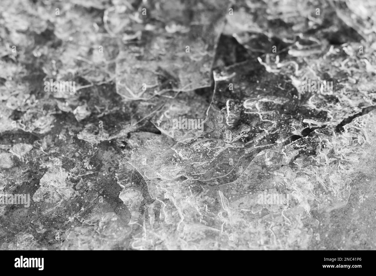 Ice crust on the ground, black and white. Winter nature. Frozen water ...