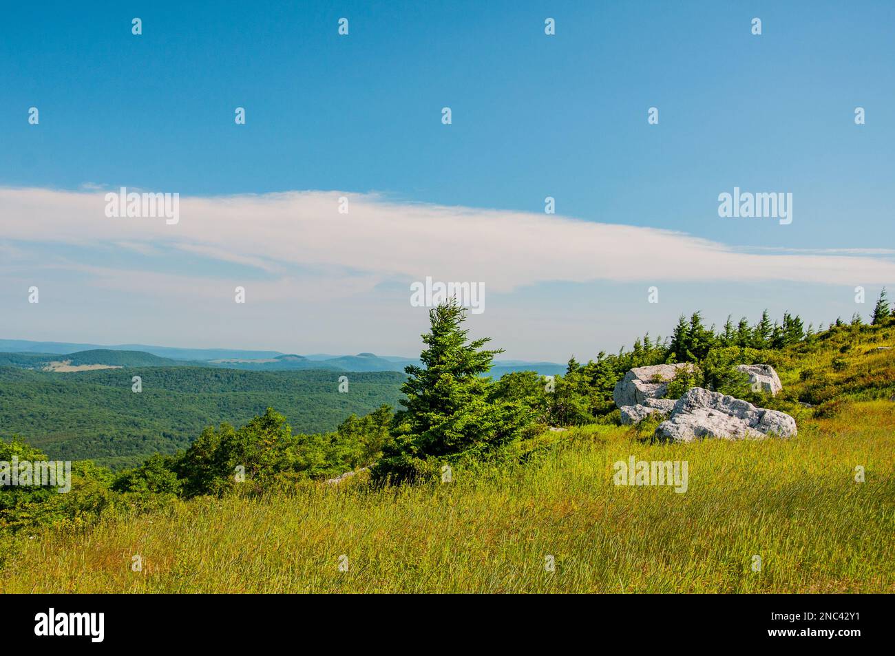 An Enjoyable Day on Spruce Knob Mountain, West Virginia USA, West ...