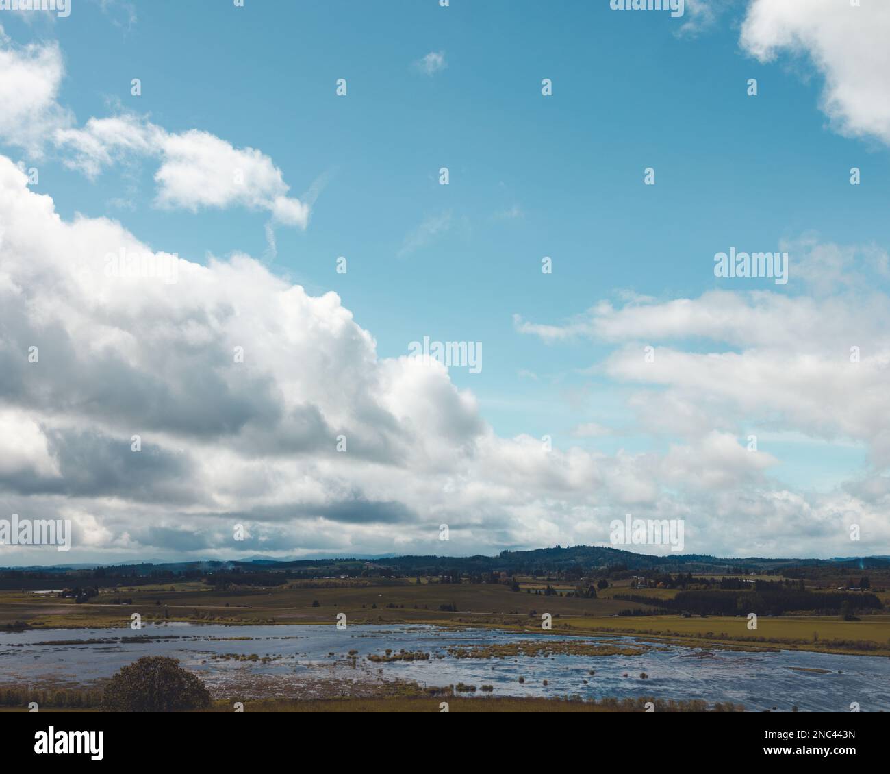 An aerial view of lake surrounded by greenery fields Stock Photo - Alamy