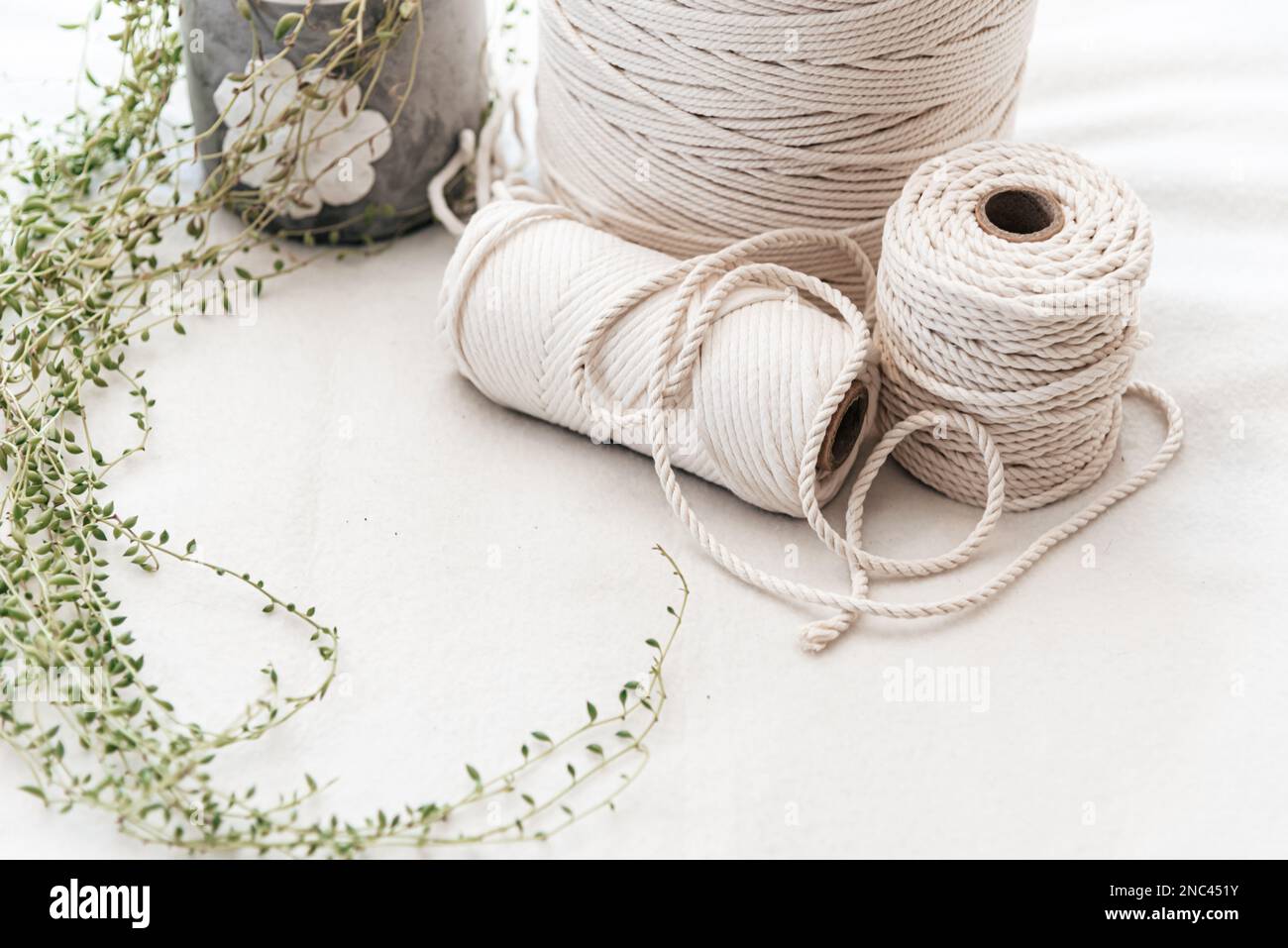 Natural Macrame Cord on Soft White Background Stock Photo - Alamy