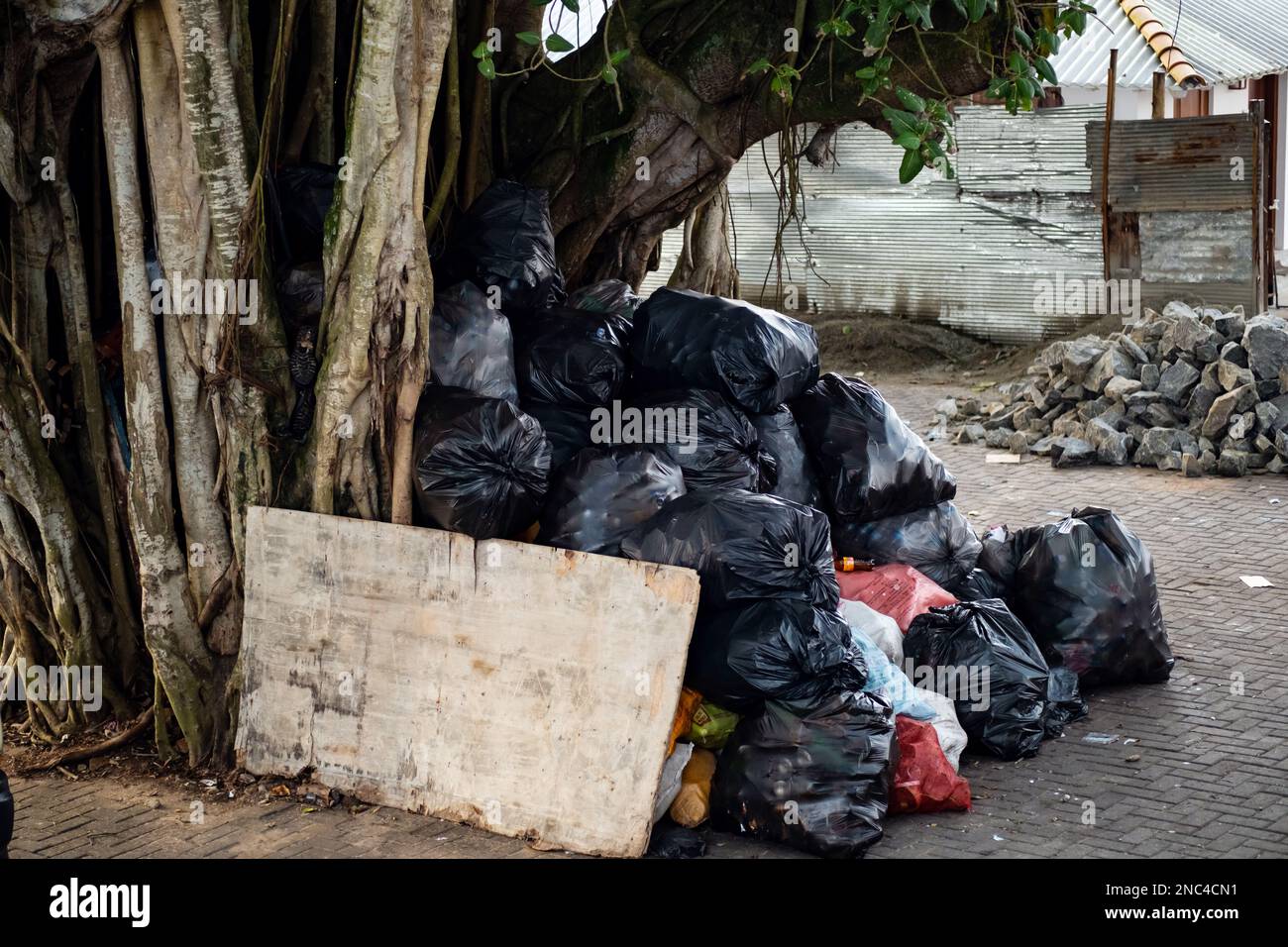 Trash inside huge tree. Garbage pile. Environmental pollution concept ...