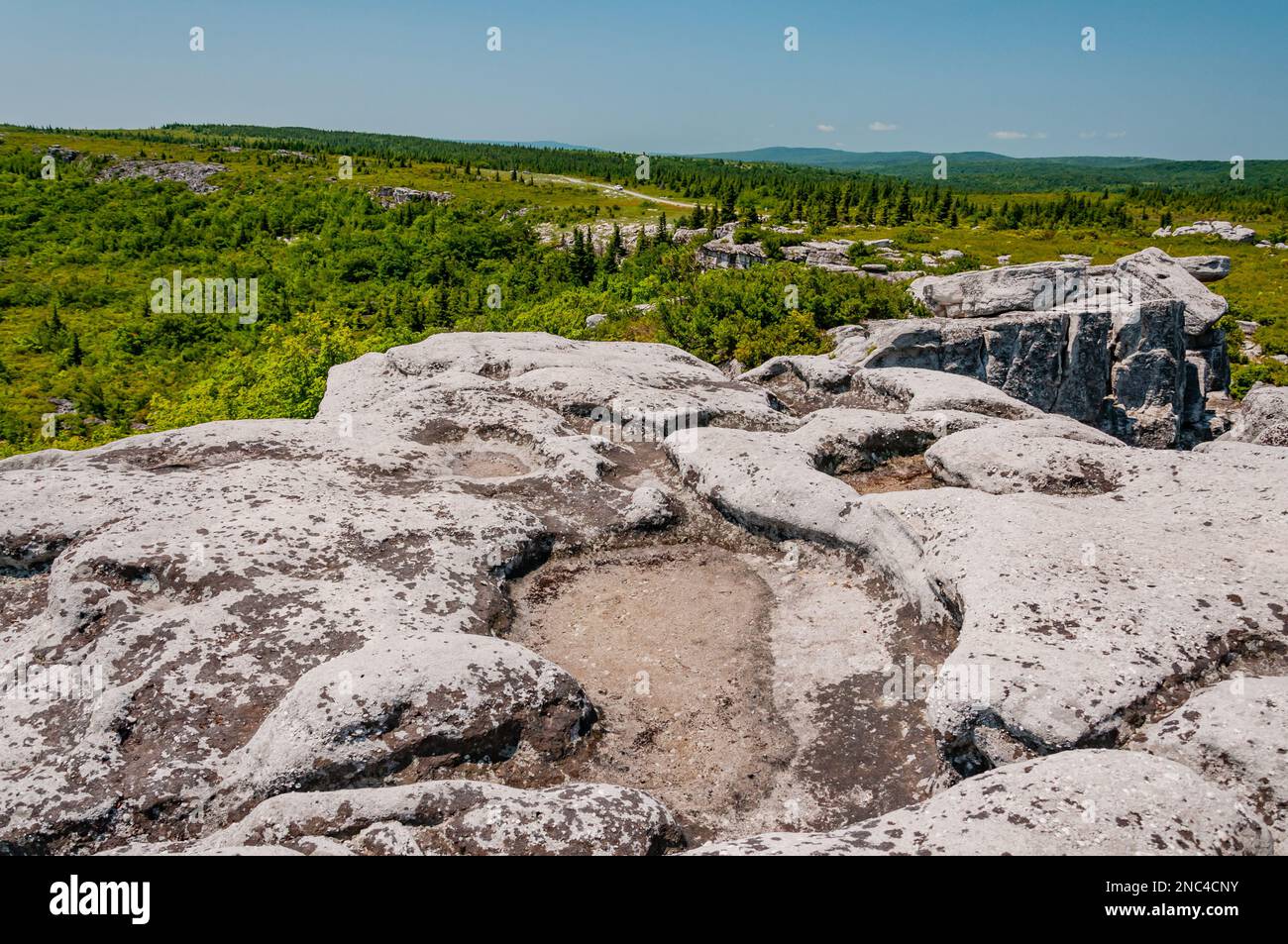 West Virginias Bear Rocks Preserve, USA, West Virginia Stock Photo - Alamy