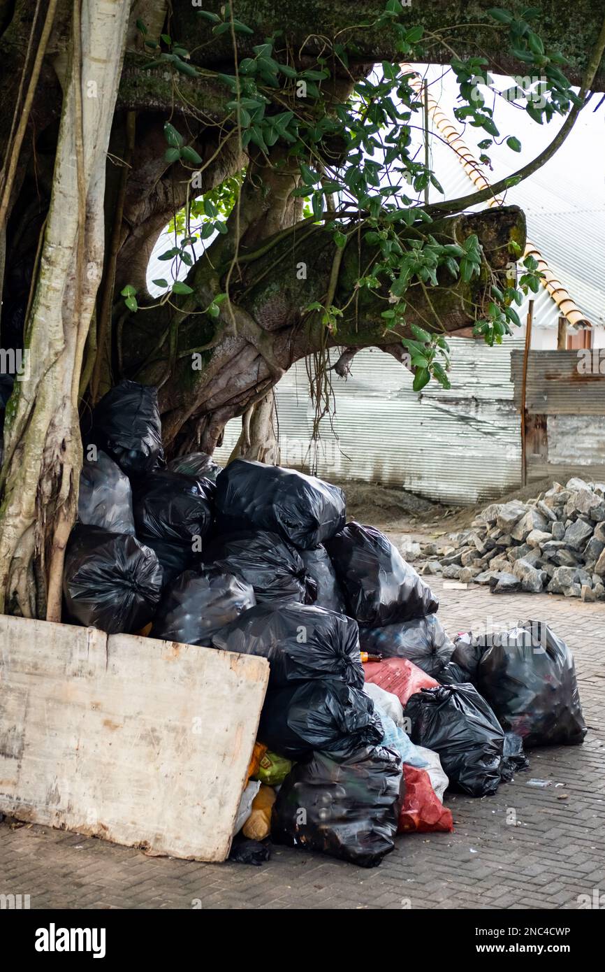 Trash inside huge tree. Garbage pile. Environmental pollution concept ...