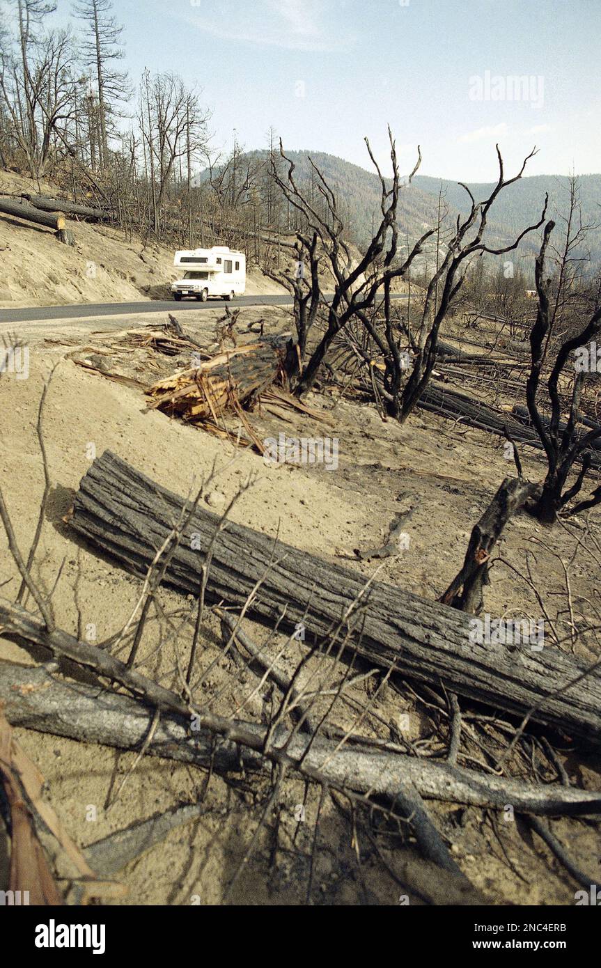 In August fire swept through the Stanislaus National Forest and ...