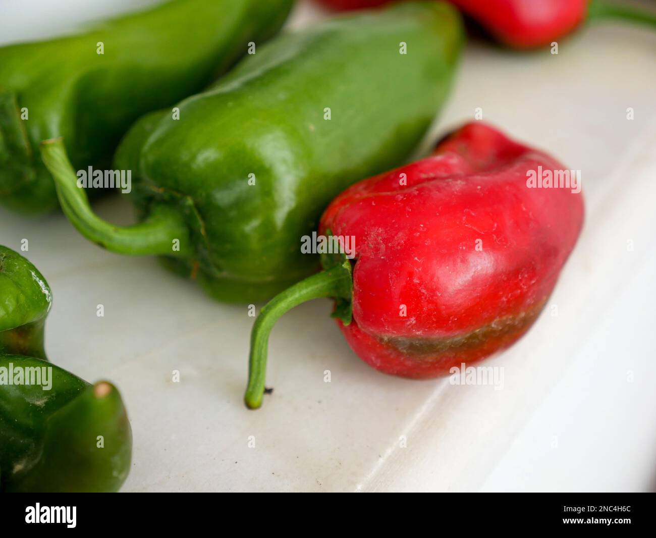 capia pepper left to mature at home, green and red large capia peppers ...
