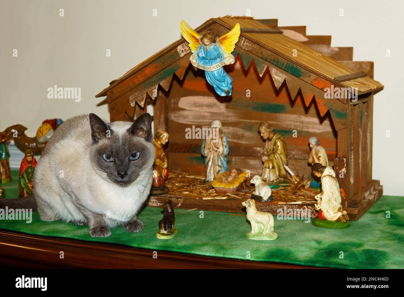 Nativity set hi-res stock photography and images - Alamy