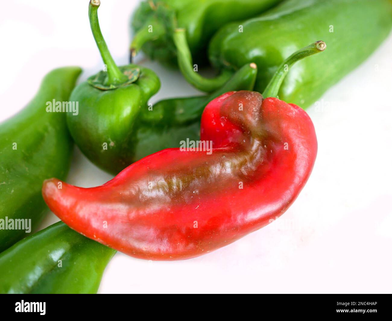 Pepper capia hi-res stock photography and images - Alamy